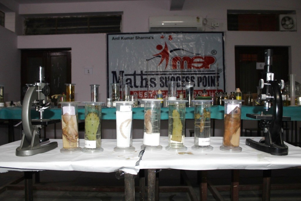 GALLERY - MATHS SUCCESS POINT Maths Success Point Gallery